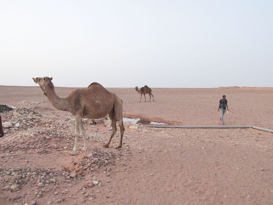 FRASTE FS 600 Drilling Rig: Water in the desert! - Fraste Spa - mobile ...